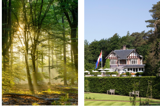 LEUVENUM : A la découverte de la forêt et de la faune locale - Presse ...