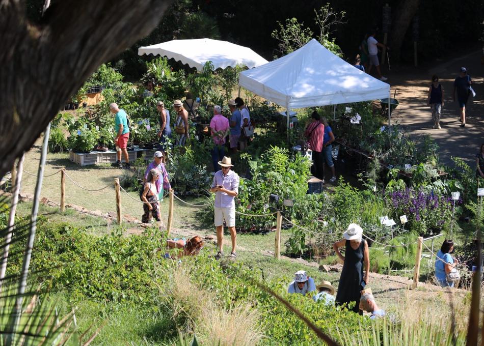 LE RAYOL LE CANADEL : "Gondwana, la Fête des Plantes méditerranéennes ...