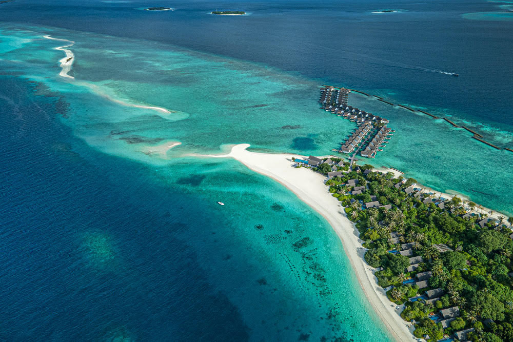 PARIS : Une expérience rare de plongée aux Maldives avec Four Seasons ...