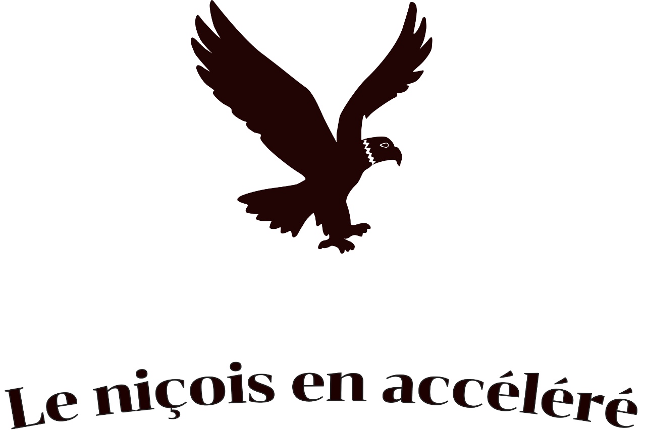 NICE : Une formation unique pour apprendre le niçois en s’amusant ...